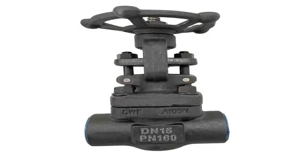 ISO 15761 Gate Valve, ASTM A105N, DN15, 1/2 Inch, PN160, NPT | Magpie