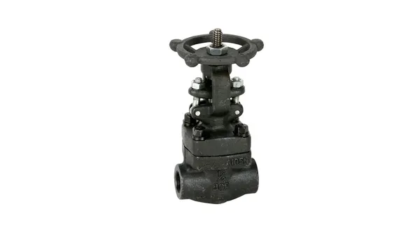 ASTM A105N Gate Valve, API 602, ISO 15761, 1/2 IN, CL800, SW | Magpie