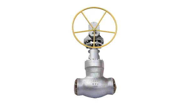 ASTM A217 WC6 Globe Valve, ASME B16.34, 12 Inch, 900 LB, PSB | Magpie