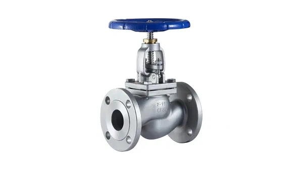 ASTM A351 CF8M Globe Valve, ASME B16.34, 2 Inch, 150 LB, RS | Magpie
