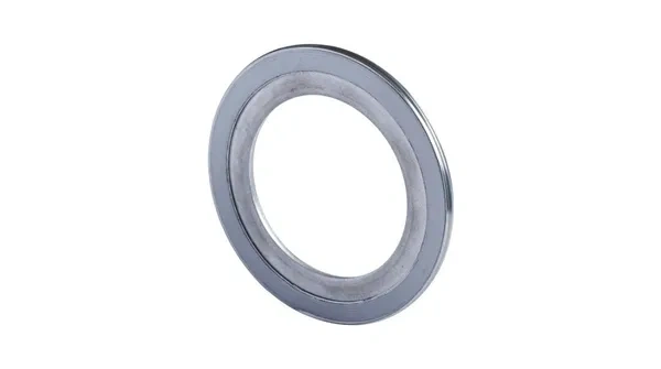 Spiral Wound Gasket with Metal Inner Ring, Steel Strip, FG | Magpie