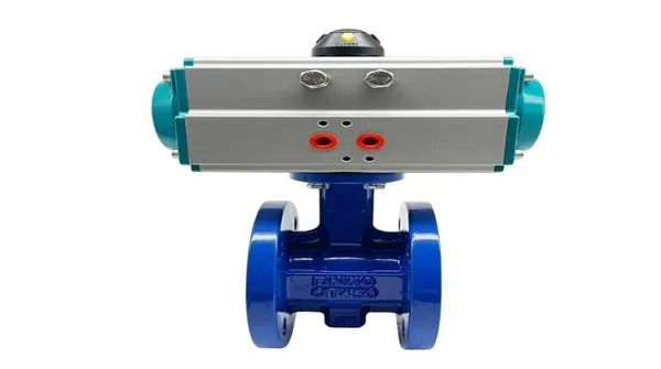 Pneumatic Actuated Butterfly Valve, BS EN 593, QT450, DN50 | China Topper