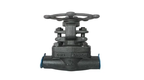 Forged Carbon Steel Gate Valve, API 602, A105N, 3/4 IN, BW | China Topper