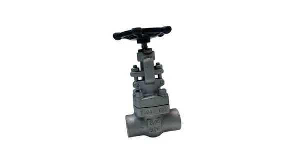 ASTM A182 F304 Gate Valve, API 602, 3/4 Inch, CL800, NPT End | China Topper