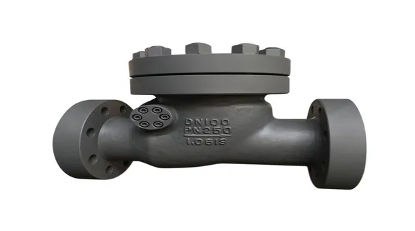 EN 1.0619 Check Valve, BS 1868, DN100, PN250, Full Port, RF | China Topper