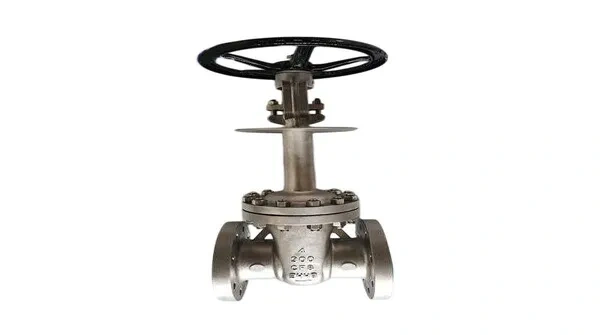 Low Emission Cryogenic Gate Valve, BS 6364, A351 CF8, 4 Inch | China Topper
