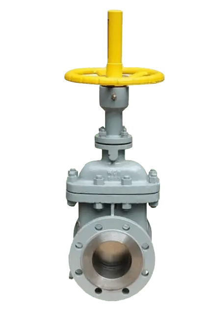 Features, Advantages and Applications of Flanged Gate Valves - Dervos