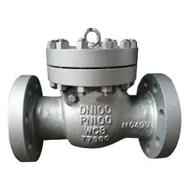 Types and Installation Precautions of Check Valves - Dervos