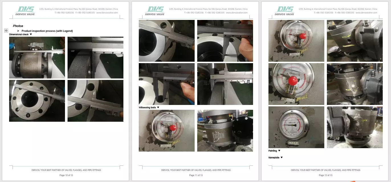 EN 13709 Floating Ball Valve, ASTM A182 F316, DN40, PN40, RF - Dervos