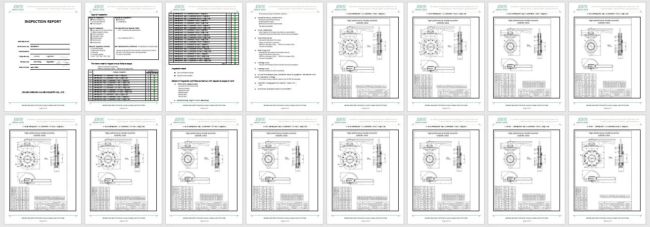 ASTM A351 CF8M Lug Butterfly Valve, 2 Inch, 150 LB, API 609 - Dervos