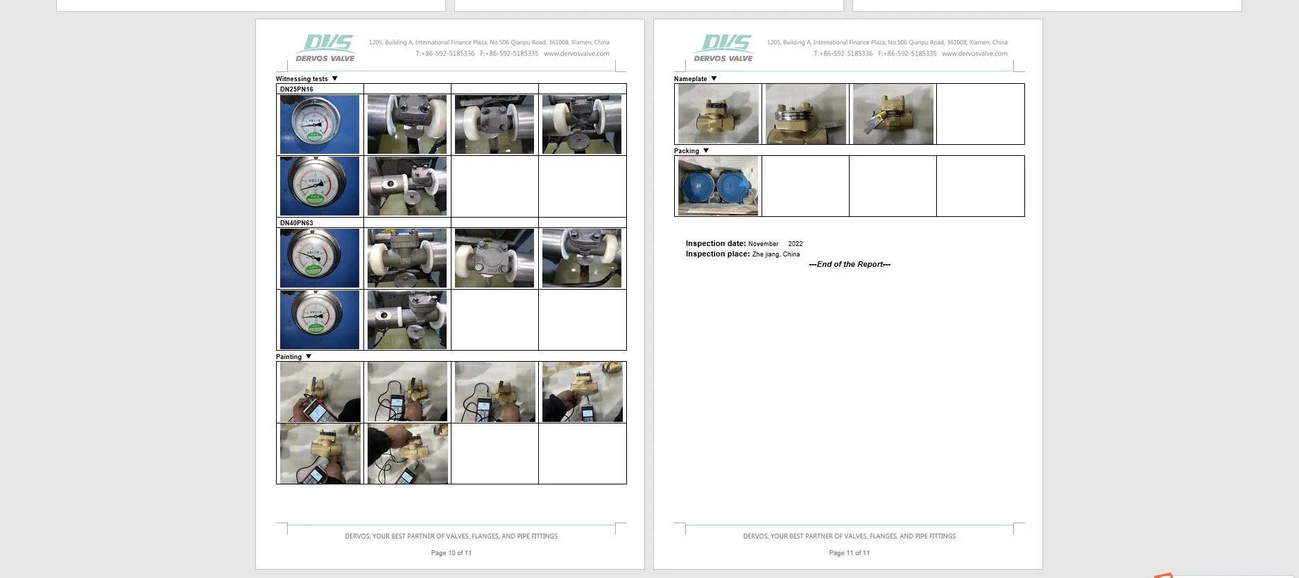 API 602 Lift Check Valve, DN25, PN16, ASTM A105N, BSP - Dervos