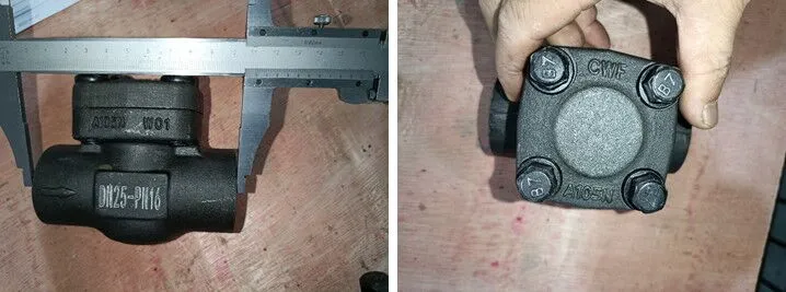 API 602 Lift Check Valve, DN25, PN16, ASTM A105N, BSP - Dervos