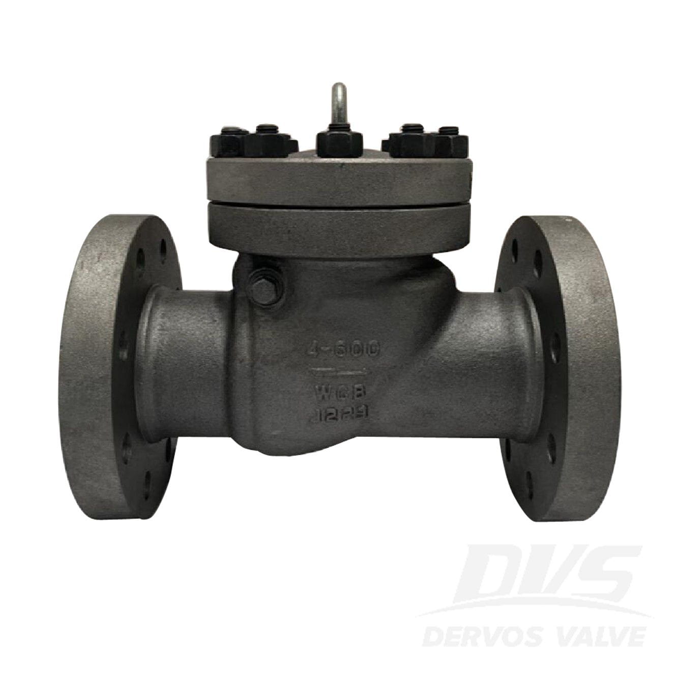 China Check Valve Manufacturer, Supplier - Dervos