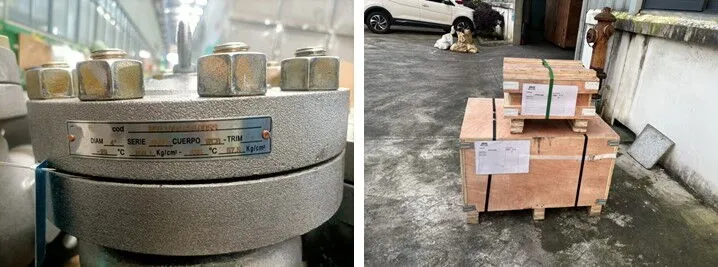 ASTM A216 WCB Swing Check Valve, 4 Inch, 600 LB, API 6D - Dervos