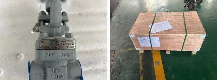 Forged Steel Globe Valve, API 602, 1/2 IN, CL 800 LB, A105N - Dervos
