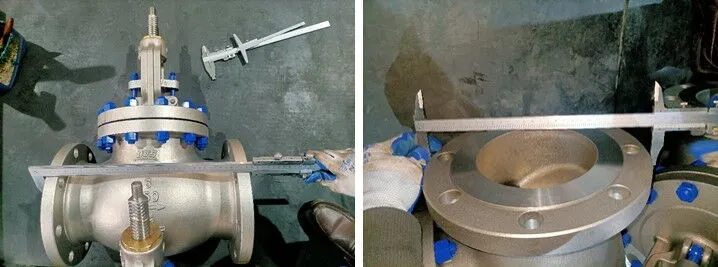 BS 1873 Globe Valve, DSS ASTM A995 4A, 6 IN, CL 150 LB, RF - Dervos