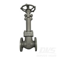 ASTM A182 F316 Gate Valve, API 602, ASME B16.34, 1 Inch, 300 LB - Dervos