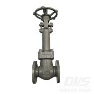 ASTM A350 LF2 Gate Valve - Dervos