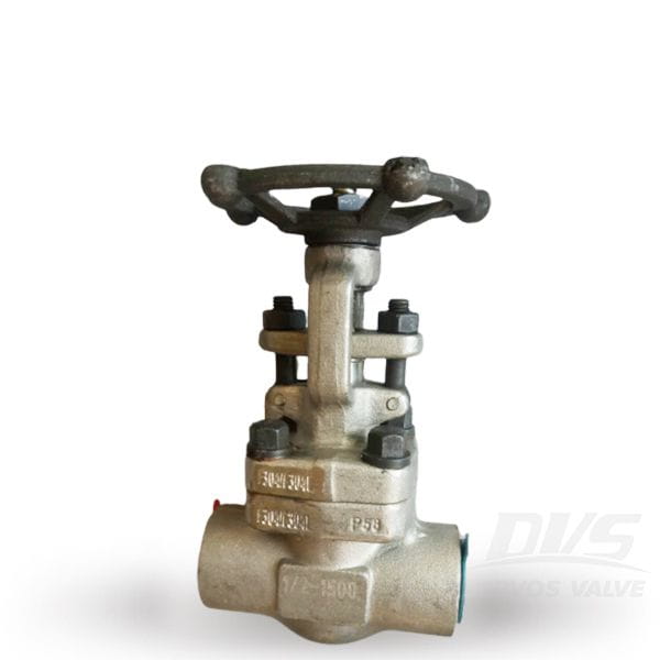 ASTM A182 F304L Gate Valve, 1/2 Inch, CL1500, API 602 - Dervos