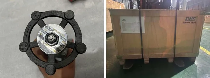 ASTM A182 F304L Gate Valve, 3/4 Inch, 800 LB, API 602 - Dervos