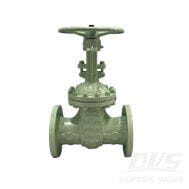 EN 1984 Gate Valve, DN50, PN40, 1.0619, STL, EN 1092-1 B1 - Dervos
