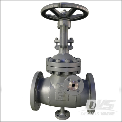Jacket Gate Valve, DIN 3352, GS-C25, DN100, PN40, Flange, Handwheel ...