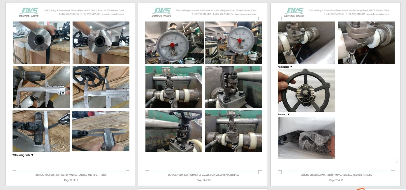 MNPT End Gate Valve, 1 Inch, 800 LB, ASTM A105N, API 602 - Dervos