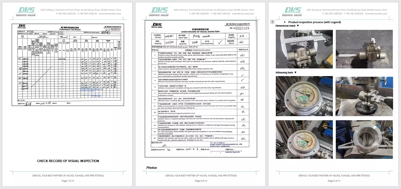 ASTM A351 CN7M Sleeved Plug Valve, 2 Inch, 150 LB, API 599 - Dervos