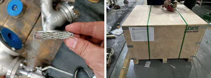 ASTM A995 6A Y Type Strainer, 2 Inch, 150 LB, ASME B16.34 - Dervos