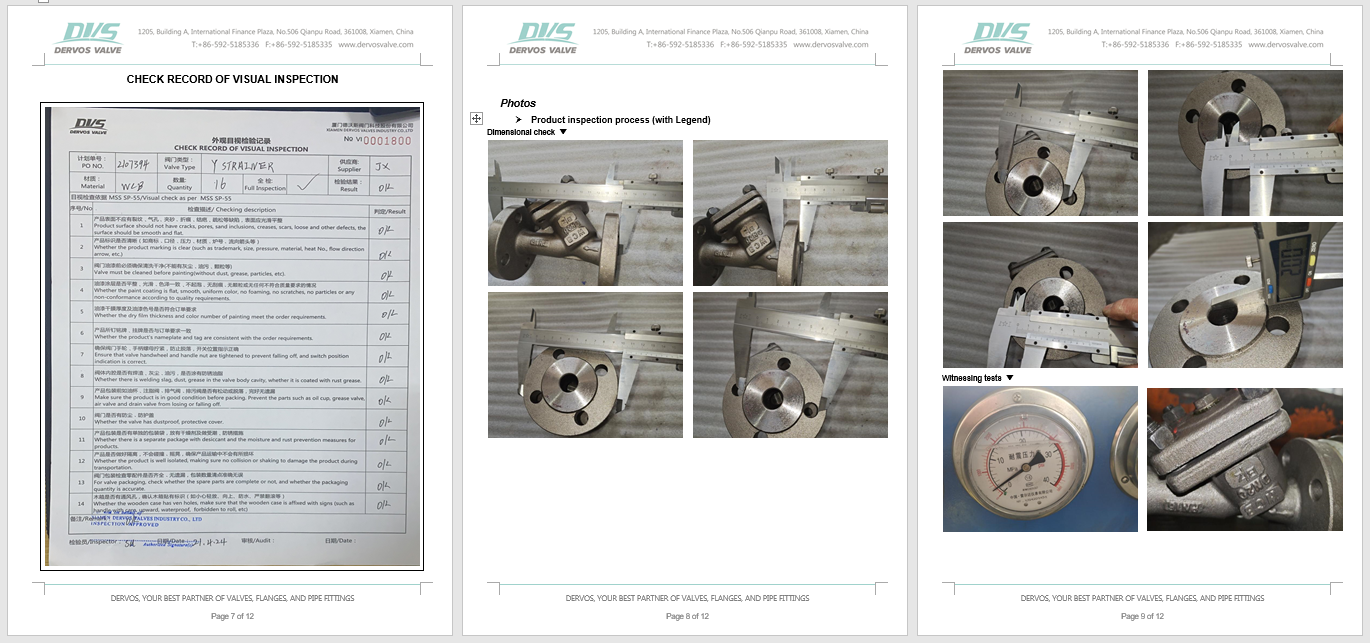 Cast Steel Y Type Strainer, EN 12516-1, DN20, PN16, WCB, RF - Dervos