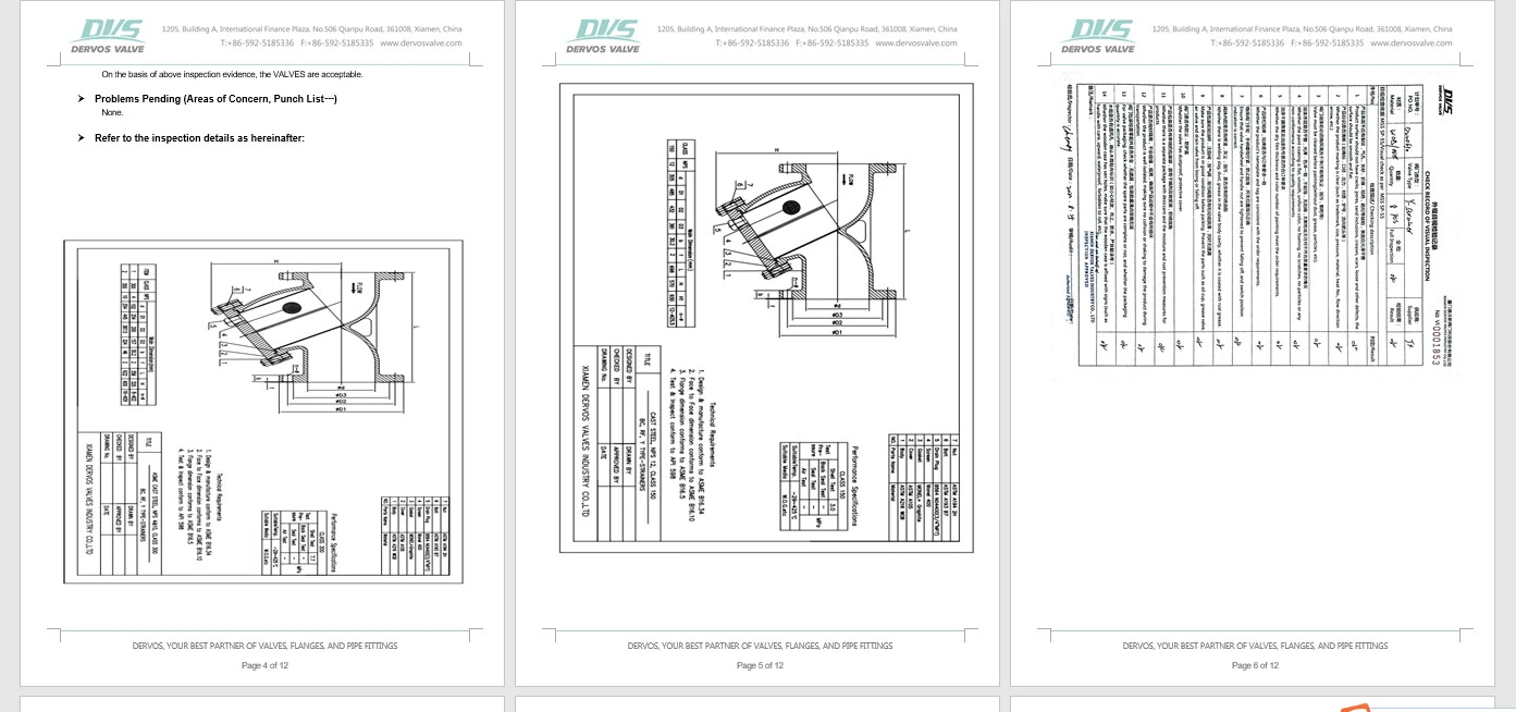 ASME B16.34 Y Strainer, 4 Inch, 300 LB, ASTM A216 WCB, RF - Dervos