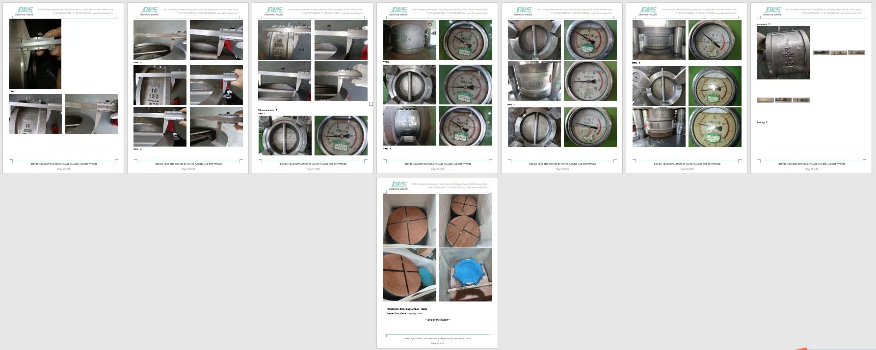 API 594 Swing Check Valve, 20 Inch, 900 LB, ASTM A216 WCB, RTJ - Dervos