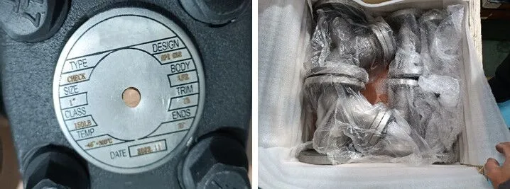 ASTM A350 LF2 Swing Check Valve, 1 Inch, 150 LB, API 602, RF - Dervos