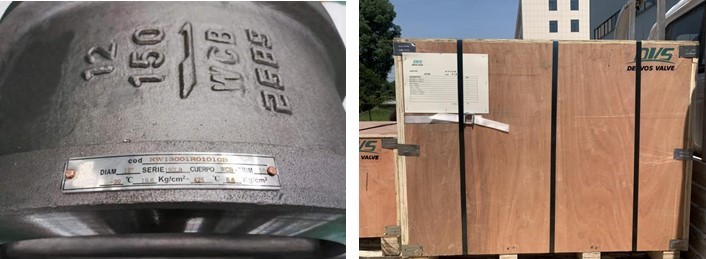 API 594 Dual Plate Wafer Check Valve, 12 Inch, 150 LB, RF - Dervos