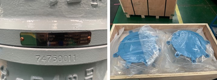 ASTM A216 WCB Wafer Check Valve, 10 Inch, 150 LB, API 594 - Dervos