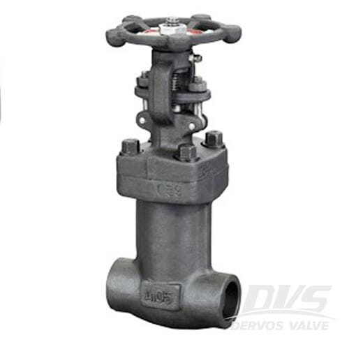 API 602 Bellows Sealed Globe Valve, Forged, Bolted Bonnet - Dervos