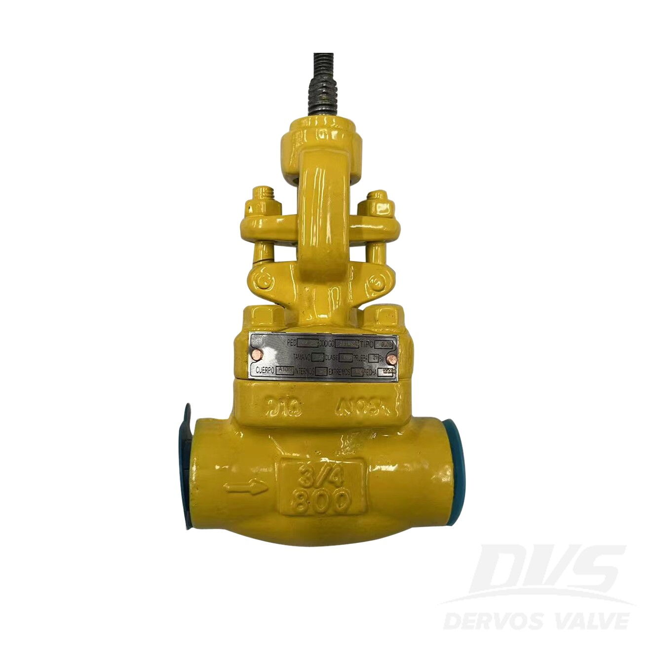 API 602 Globe Valve, ASTM A182 F316, 3/4 Inch, 800 LB, SW - Dervos