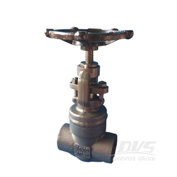 Cryogenic Extended Bonnet Globe Valve, 2 Inch, 150 LB - Dervos
