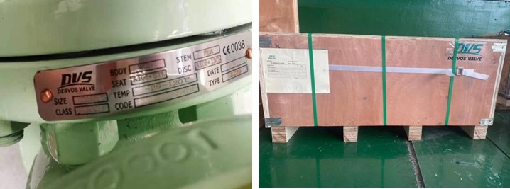 EN 12516 Globe Valve, 2 Inch, DN50, PN40, ASTM A216 WCB, RF - Dervos