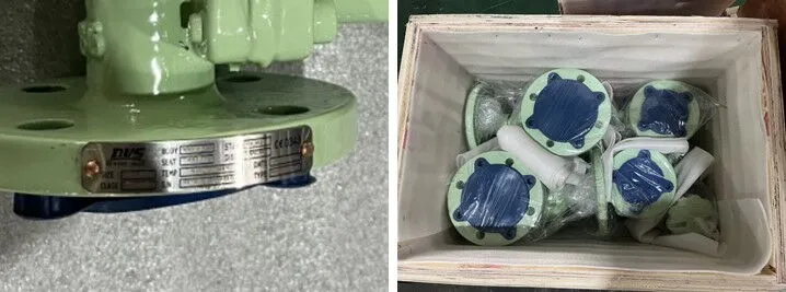 BS 5156 Diaphragm Valve, DN25, PN10, ASTM A216 WCB, RF - Dervos