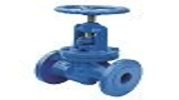 The Origin and Development of Valves | Landee
