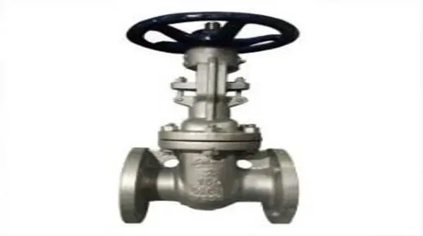 Characteristics and Differences between Wedge and Slab Gate Valves | Landee