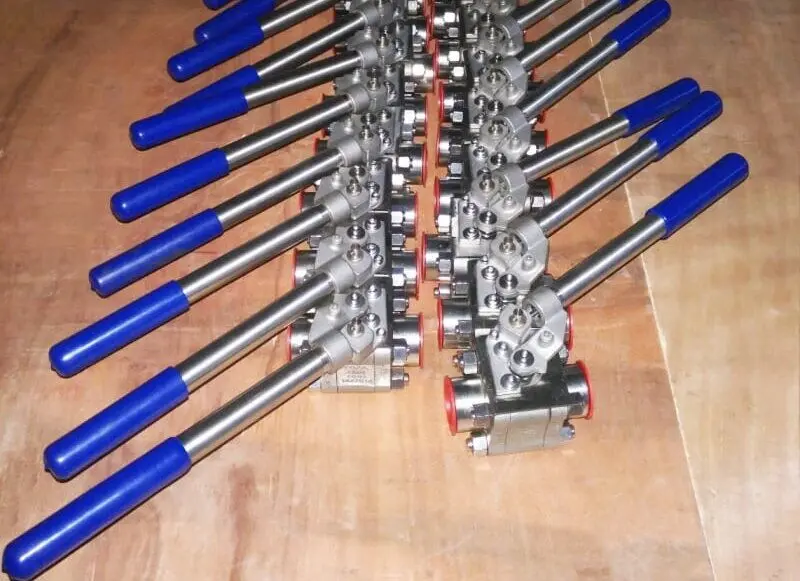 API 598 Spring Loaded Ball Valve, API 608, F316, 1IN, 800 LB - Landee