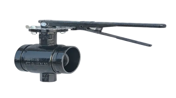 MSS SP-67 Grooved Butterfly Valves, 300 PSI, AWWA C606 | Landee