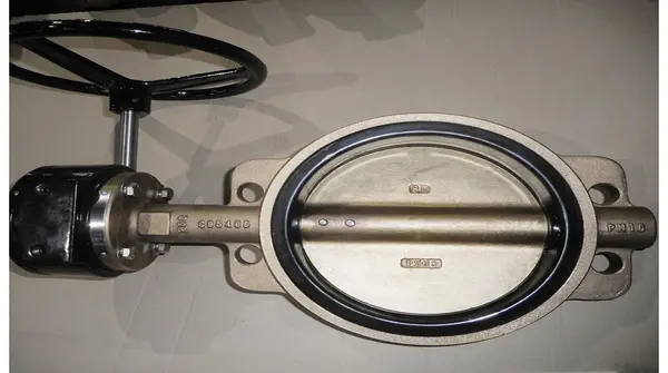 ASTM B148 C95400 Butterfly Valve, API 609, 8 Inch, 150 LB | Landee