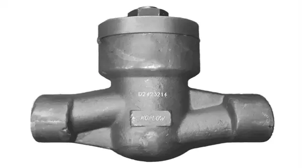 API 602 Lift Check Valve, ASTM A105, 2 Inch, CL 800 LB, SW | Landee