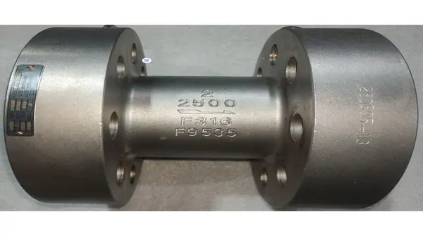 API 594 Dual Plate Check Valve, F316, 2 Inch, CL2500 LB, RTJ | Landee