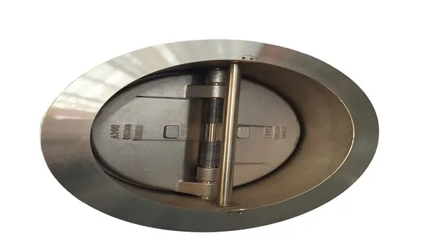 Retainerless Dual Plate Check Valves, API 594, C95800, 10 IN | Landee