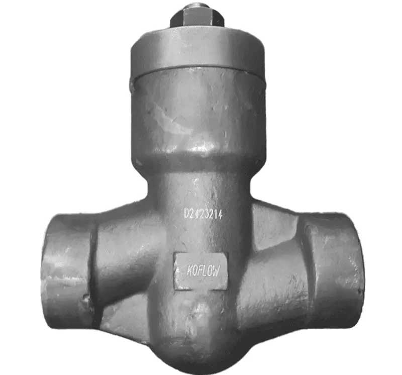 API 602 Lift Check Valve, ASTM A105, 2 Inch, CL 800 LB, SW - Landee