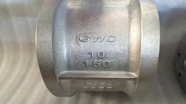 ASTM A359 Check Valve, PN20, DN250, Flanged Flat Face | Landee